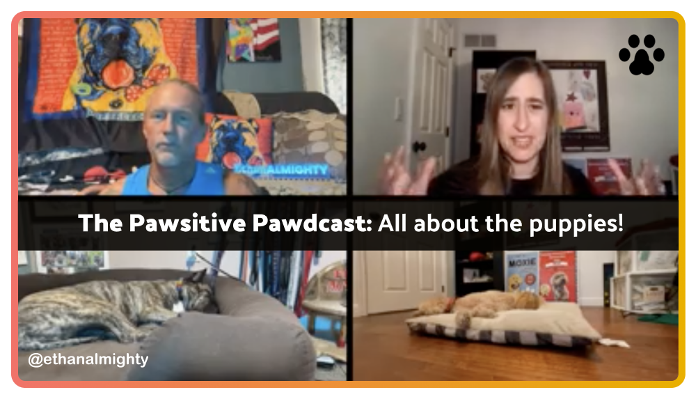 15 Fun Live Stream Ideas to Grow Your Audience