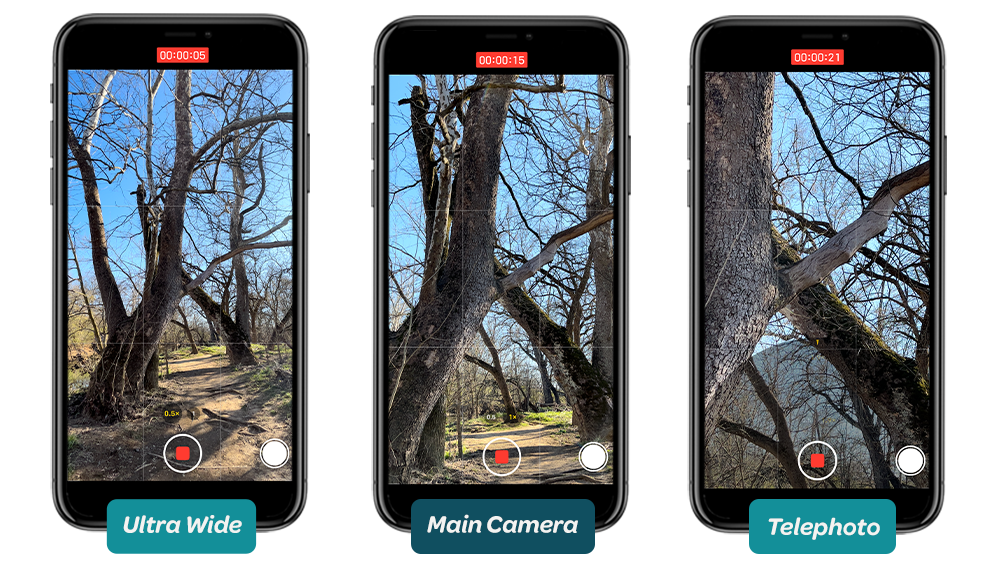 The Best iPhone Camera Settings for Video in 2024